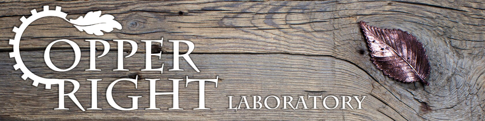 Copper jewelry decor made from real leaves & by CopperRight