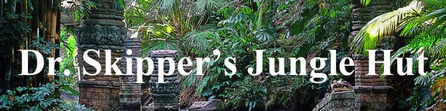DrSkipper - Etsy