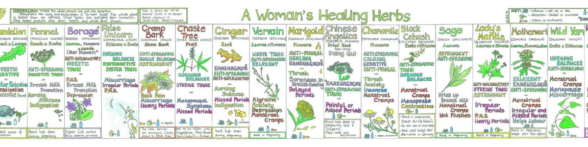 LizCookCharts - Etsy