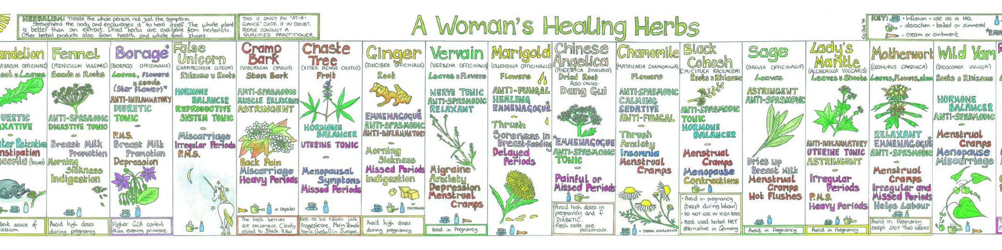 LizCookCharts - Etsy