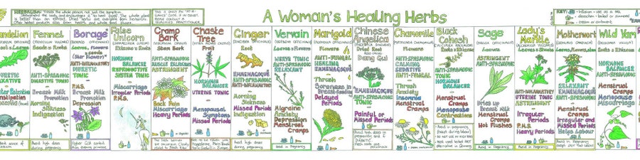 LizCookCharts - Etsy