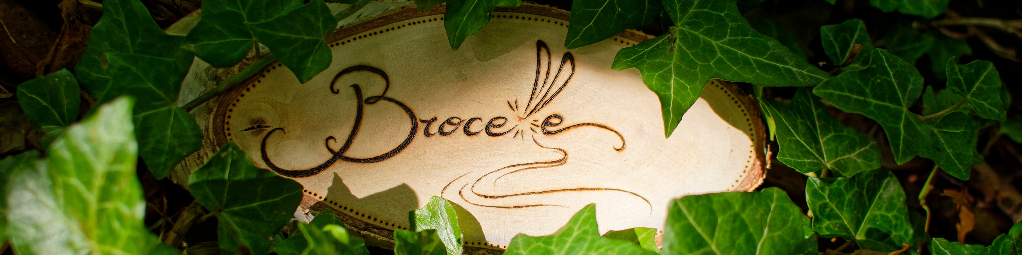 Brocelle (Ships from: France) - Etsy