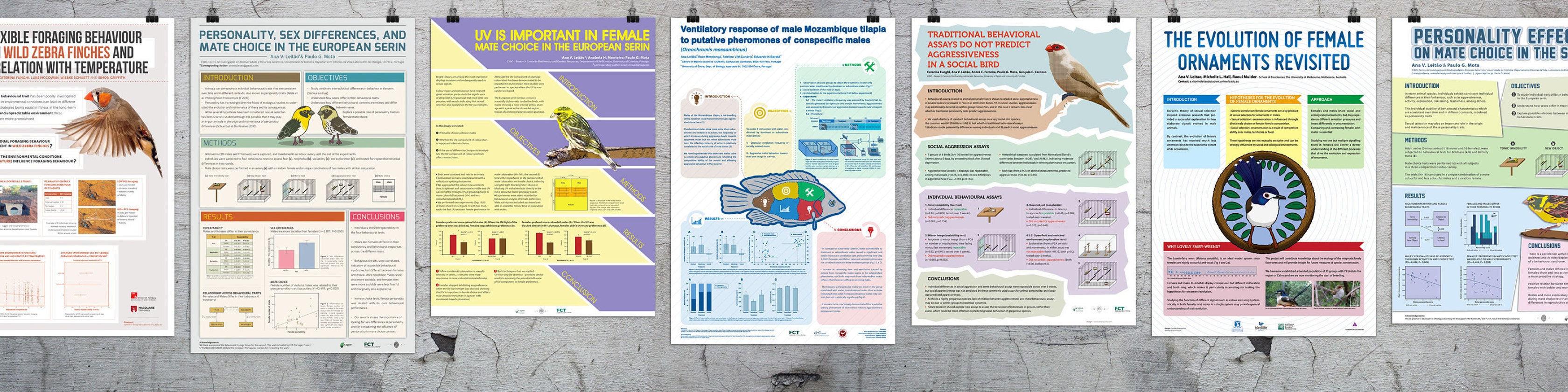 ScientificPoster - Etsy