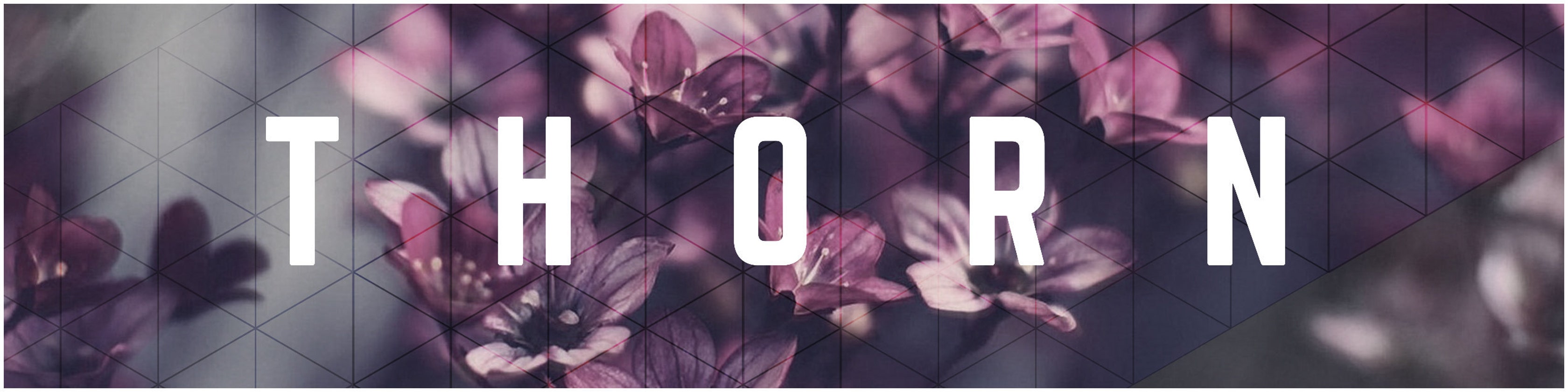 Thornclothingcompany - Etsy