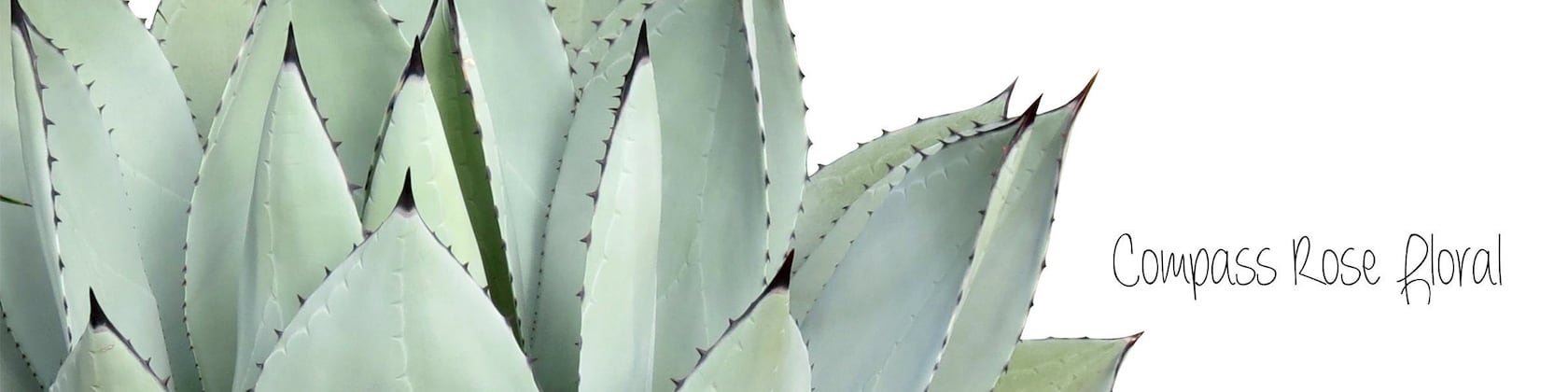 Compass Rose Floral by CompassRoseFloral on Etsy