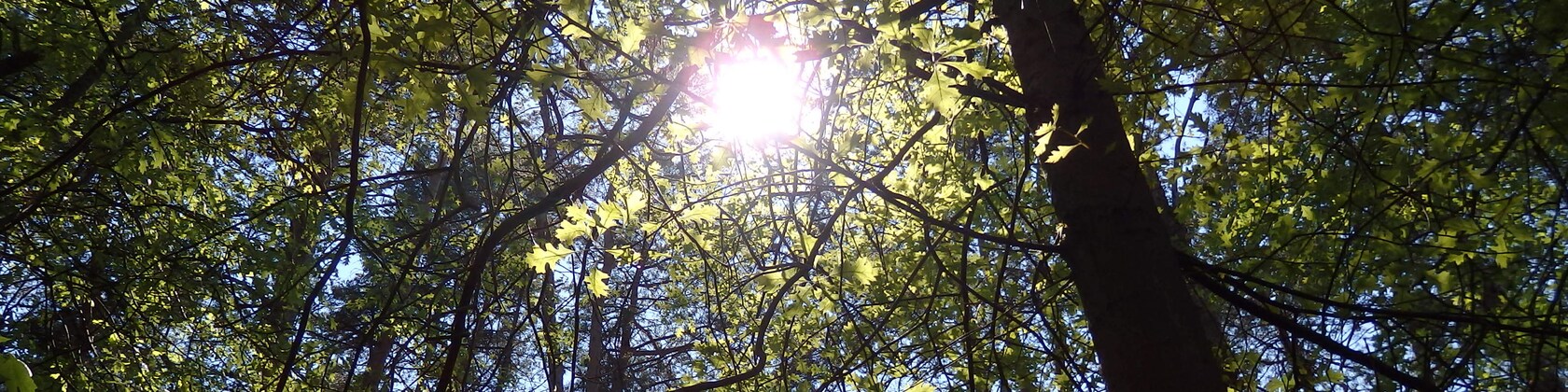 RachelandBertha - Etsy