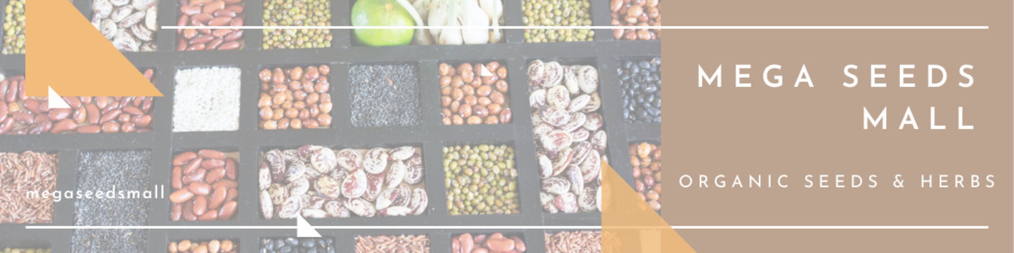 seedsmegamall - Etsy