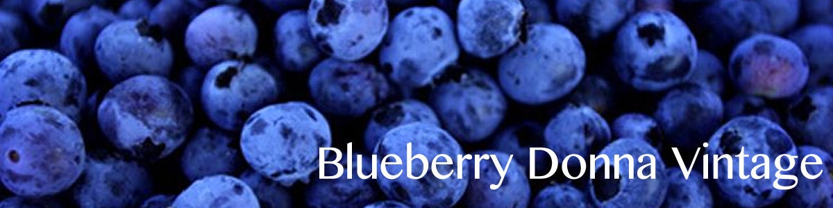 BlueberryDonna - Etsy