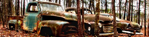 CaraFullerPhotos - Etsy