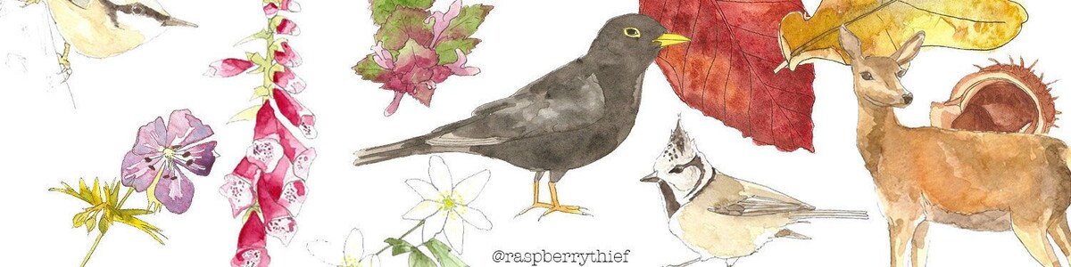 Raspberry Thief Nature inspired art by Raspberrythief on Etsy