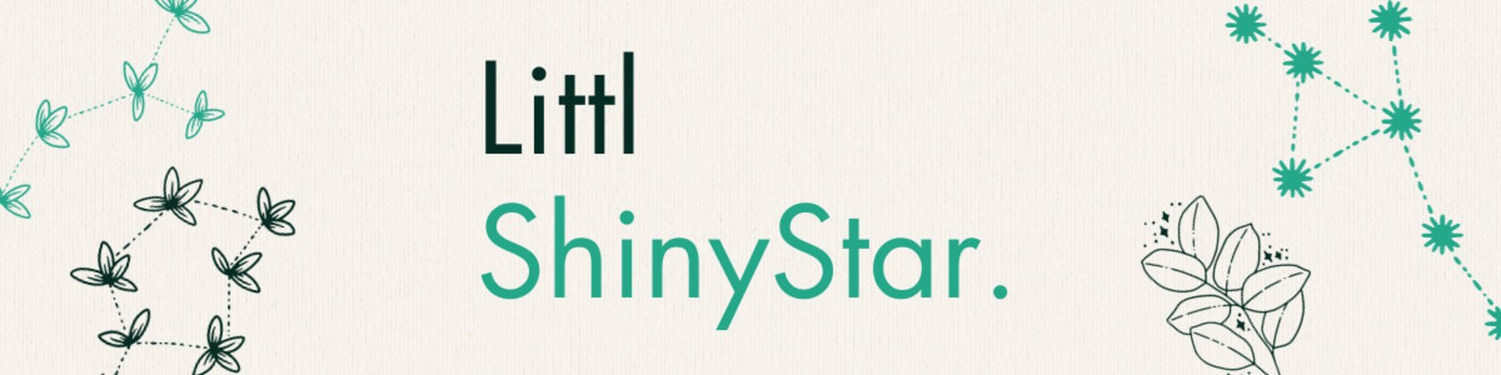 LittlShinyStar - Etsy
