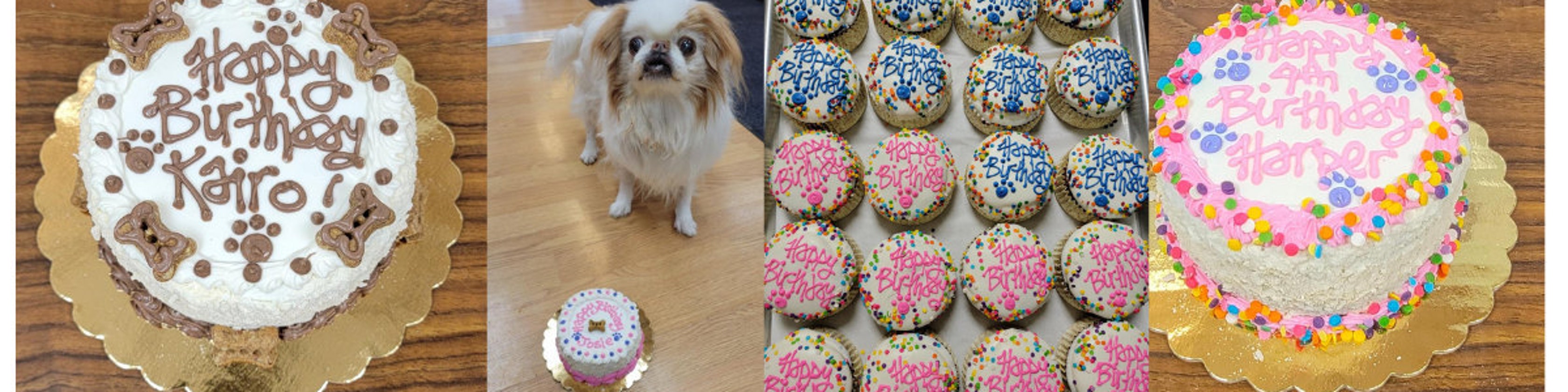 MyBestFriendBakery - Etsy