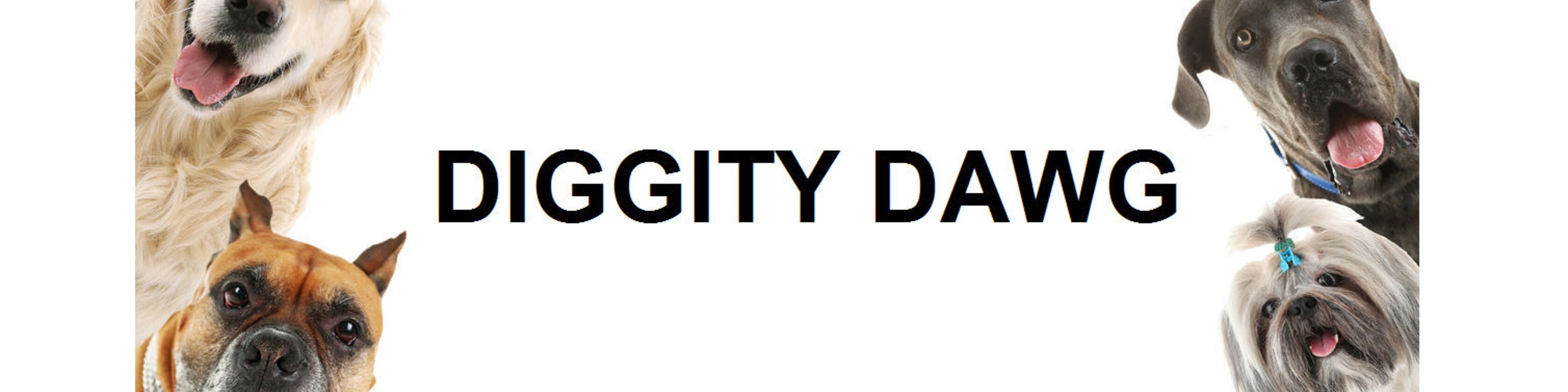 DiggityDawgDogStuff - Etsy