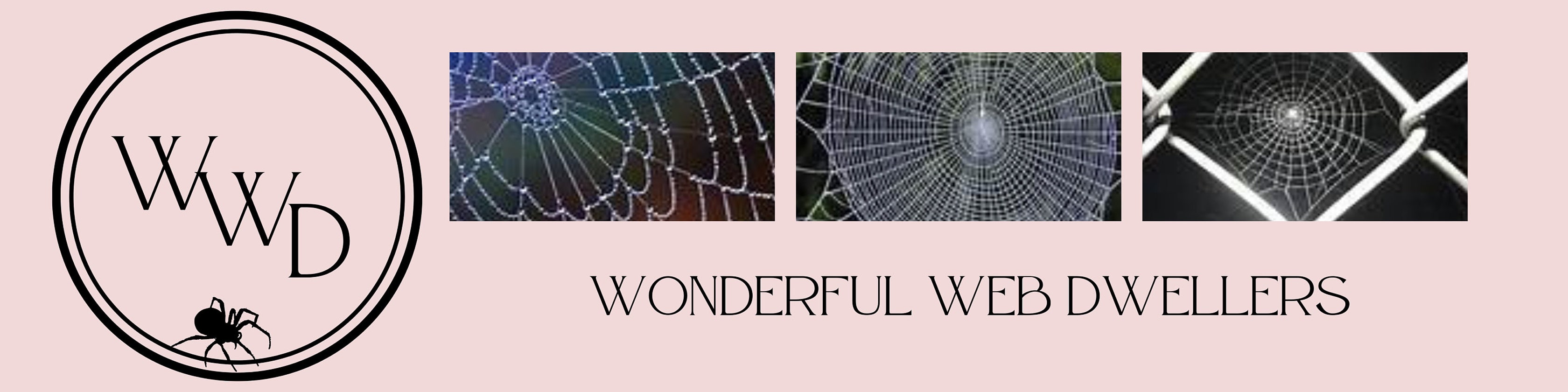 WonderfulWebDwellers - Etsy