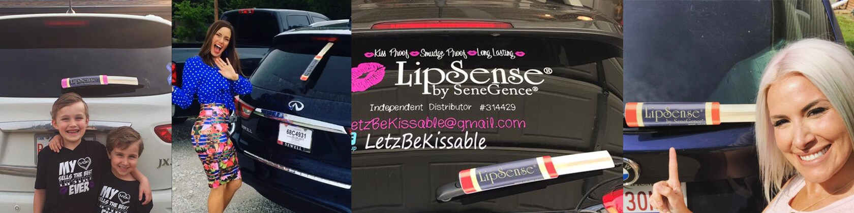 WiperTags Wiper Covers Attach to Your Rear Wipers by WiperTags