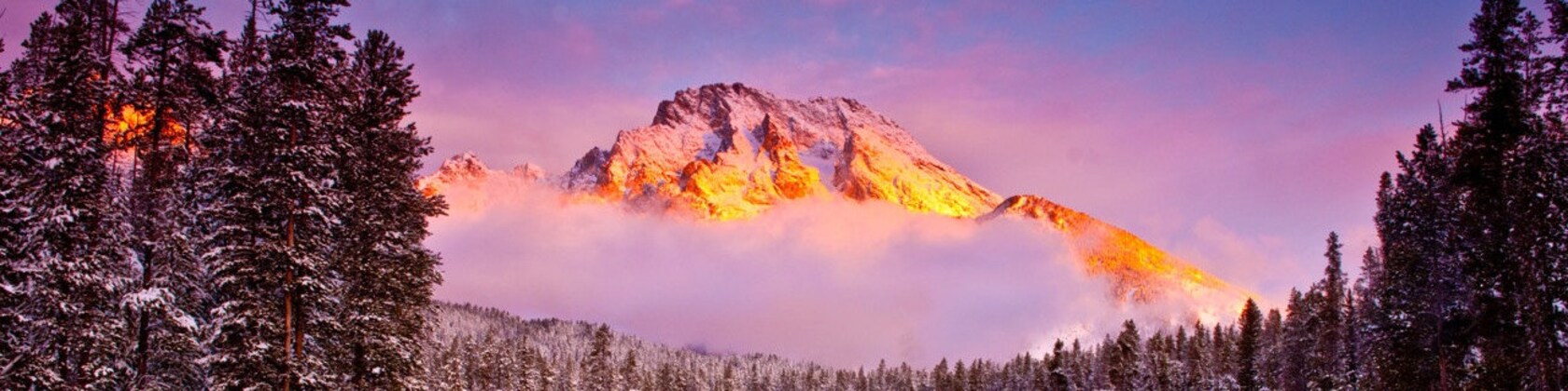 GrayCraneStudios - Etsy