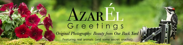 AzarelGreetings - Etsy