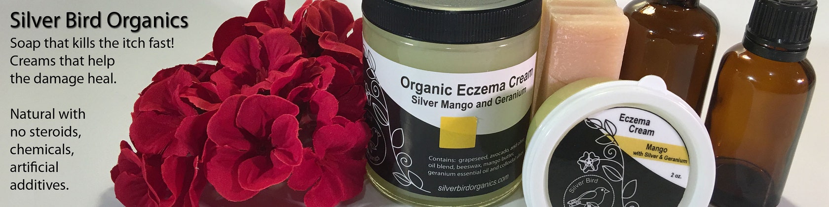 SilverBirdOrganics - Etsy