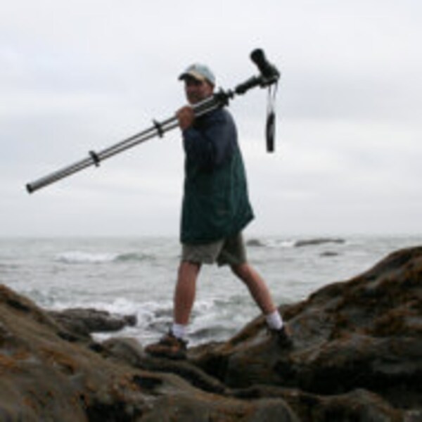 ThePhotoImpression - Etsy