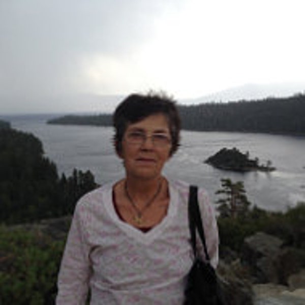 BarksBowsAndCollars - Etsy