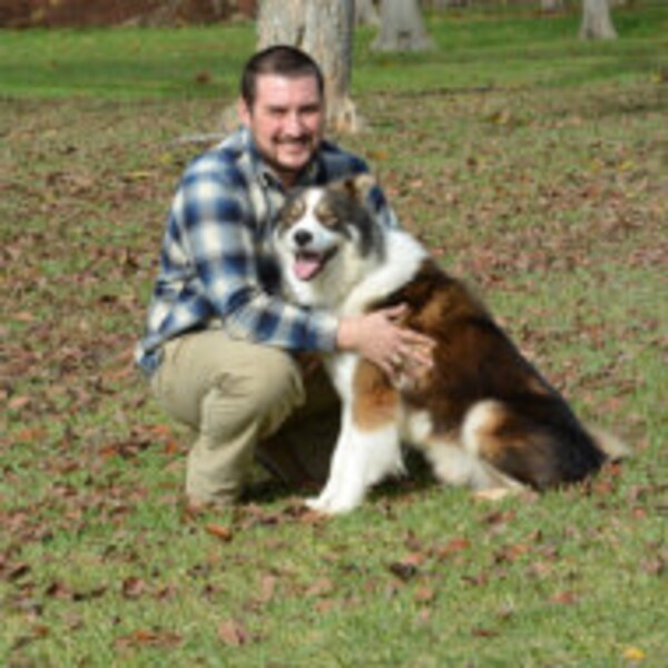 WhiteAspenStudio - Etsy