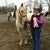 LizzyandMe - Etsy