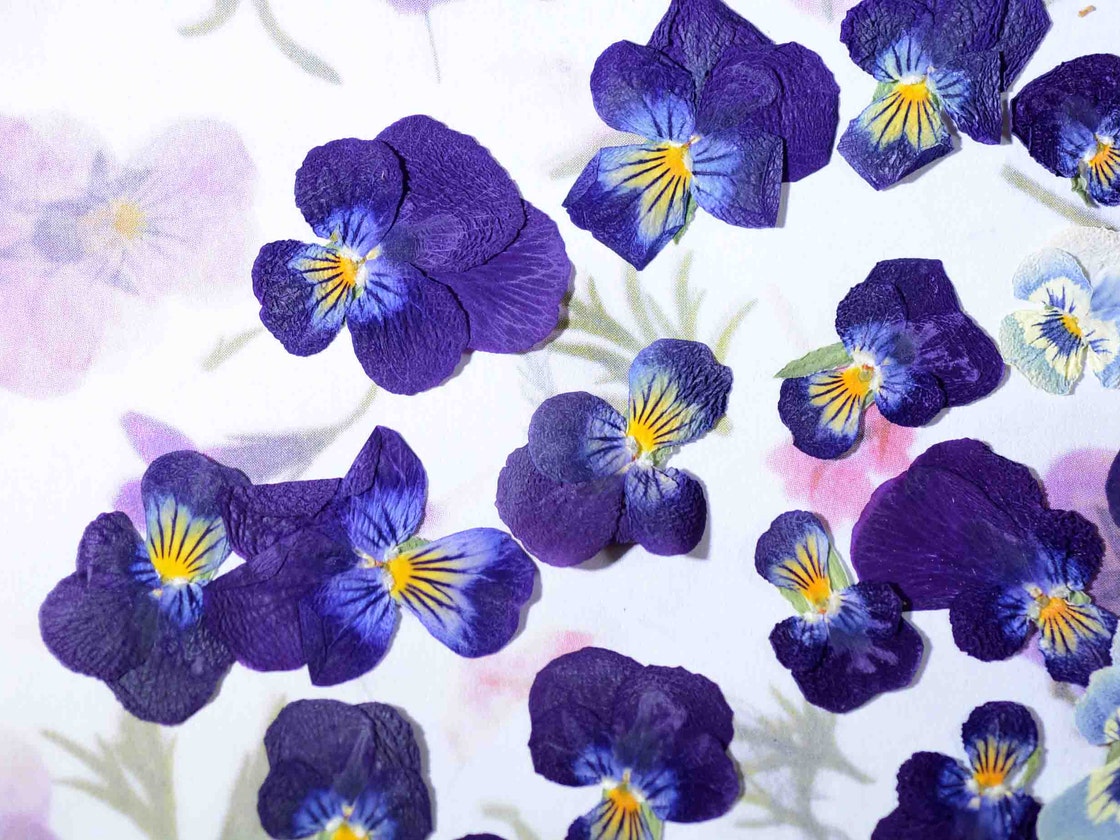 TheHealingGypsy - Etsy