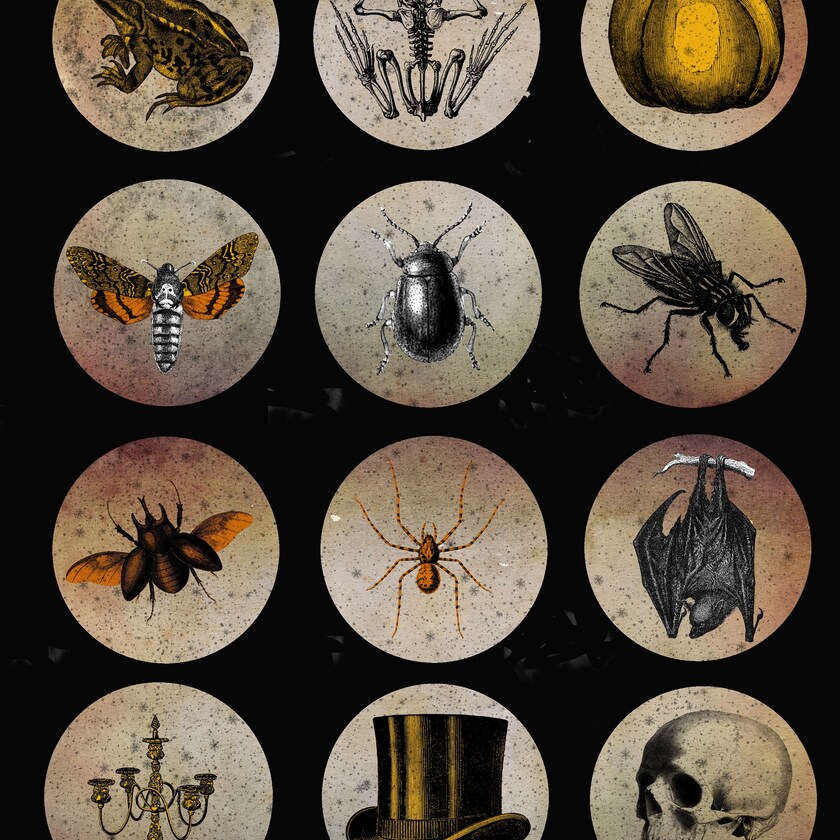 Magpie Creative Designs by MagpieCreativeFinds on Etsy