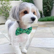 Pawswithstyleshop - Etsy