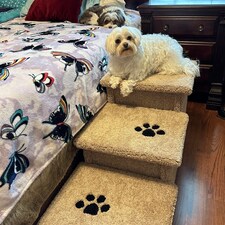 HamptonBayPetSteps - Etsy