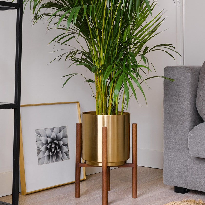 KimistyDesigns - Etsy