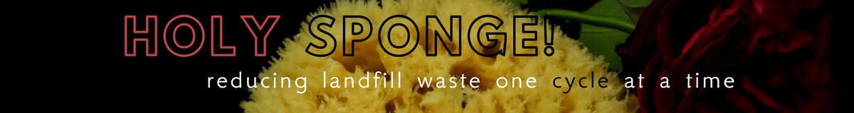 HolySponge - Etsy