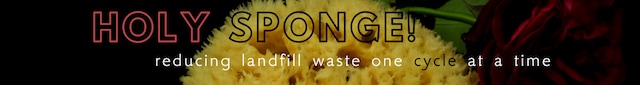 HolySponge - Etsy