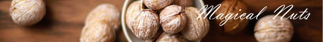 MagicalNuts - Etsy