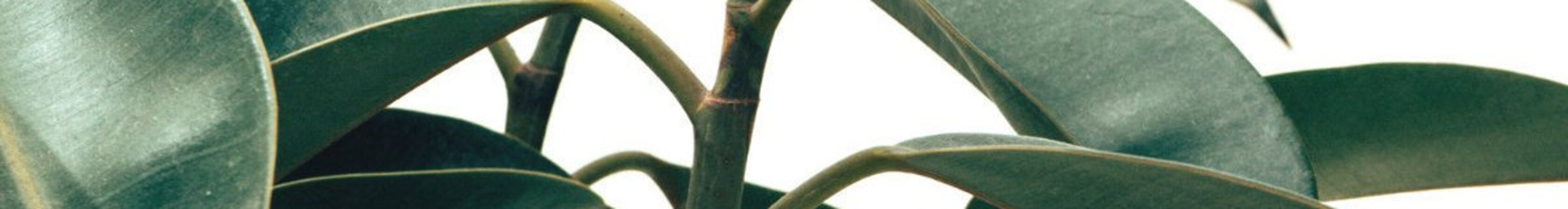 Specializing in planted and fiber art for modern by JungleandLoom