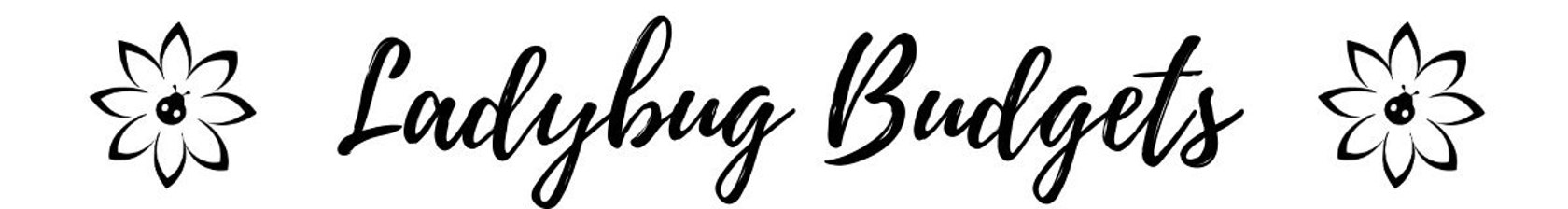 LadybugBudgets - Etsy
