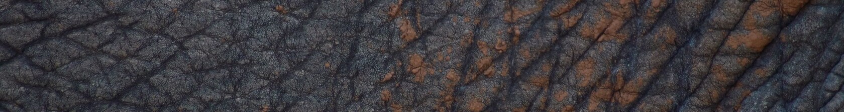 Quality Floggers by QuestionControl on Etsy