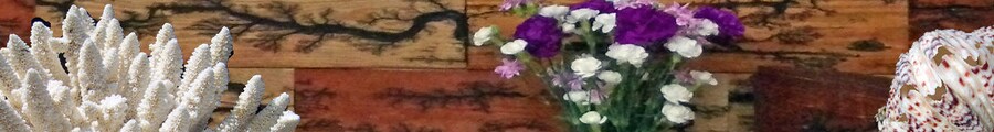 MikemaresPlace - Etsy