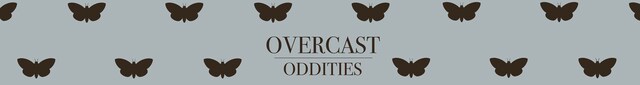 OvercastOddities - Etsy