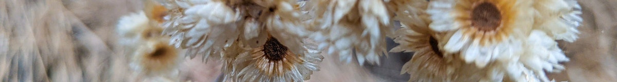 InternallyComatose - Etsy