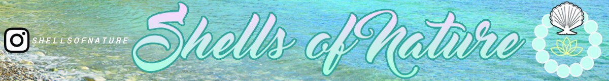 ShellsOfNature - Etsy UK