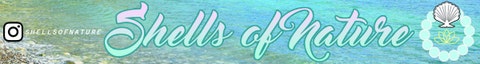 ShellsOfNature - Etsy UK