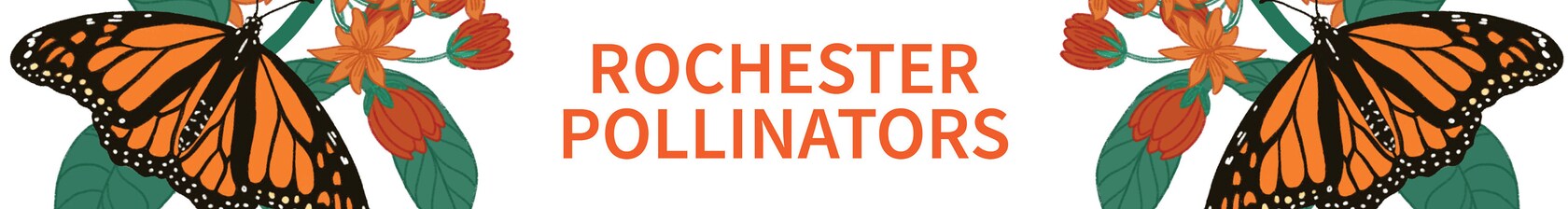 All proceeds go to saving the Monarch by RochesterPollinators