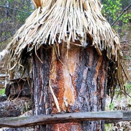 TheLostWorldChulym - Etsy