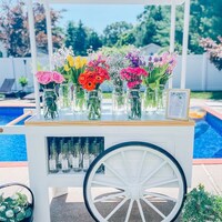 Classic Event Cart buy or Rent - Etsy Canada