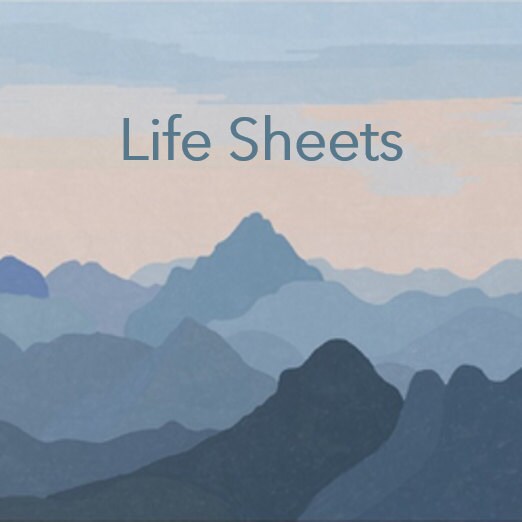 LifeSheets - Etsy