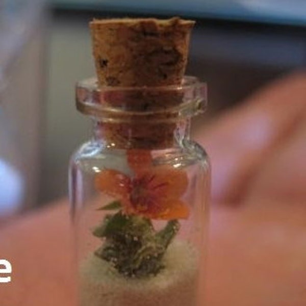 50 1ml Tiny Glass Bottles. Small Bottles With Cork. Bitty Bottle. Empty ...