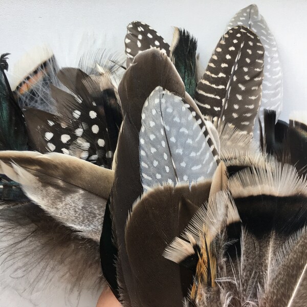 80 Pcs Assorted Feathers Natural Feathers Real Bird Feathers Feathers ...