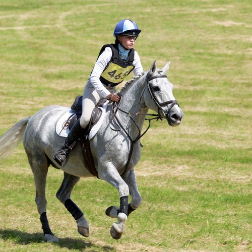 mimiwentworthstanley - Etsy