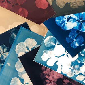 Original Wet Cyanotype Print Clematis, Mixed Media Cyanotype on Paper ...